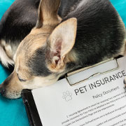 Market Segment Report: Mixed Early Pet Insurance Results but Inland ...