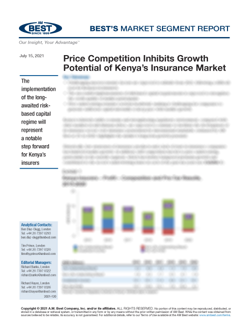 Market Segment Report: Price Competition Inhibits Growth Potential of ...