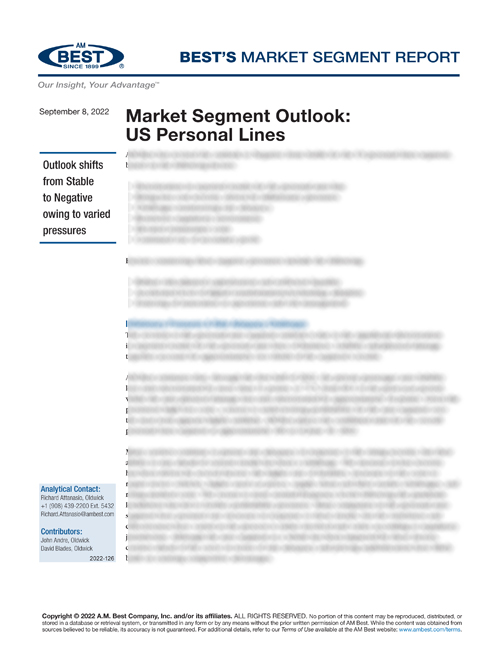 Market Segment Report: Market Segment Outlook: US Personal Lines